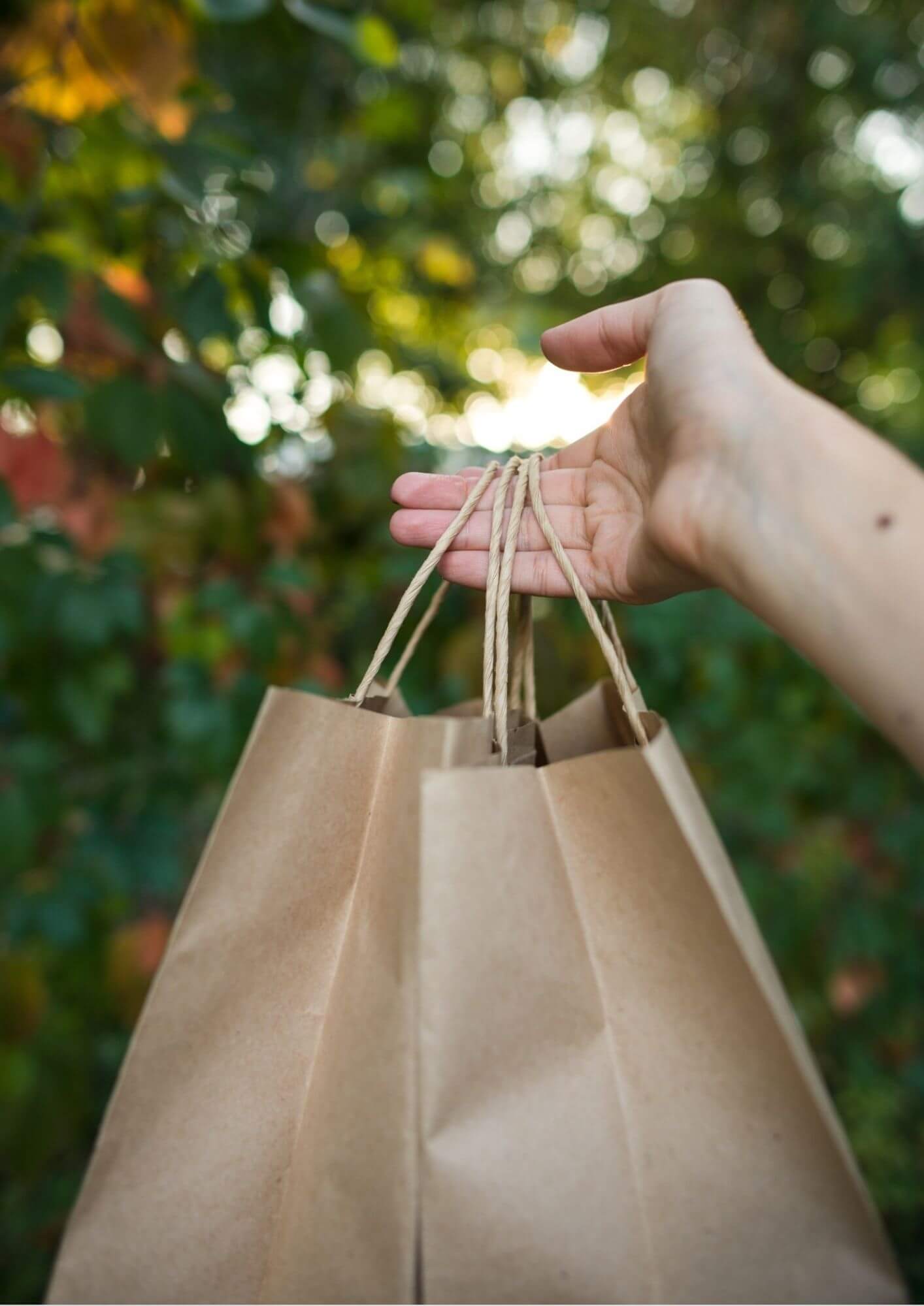 Twisted Handle Paper Bags | Max Packaging | FSC ® licensed